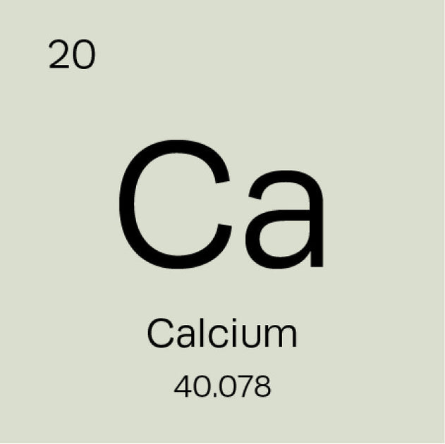 Why Is Calcium So Important in Your Body? – goodphyte